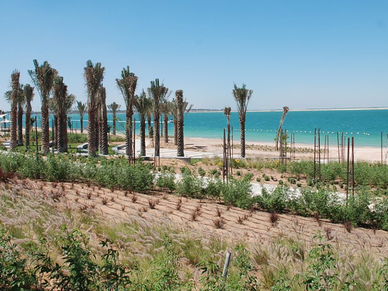 Services - Gulf Contractors Co. LLC